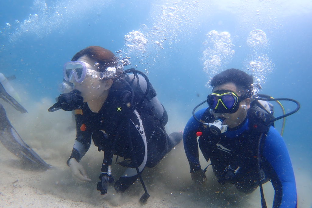 AQUAS Blog » 2019 » 6月