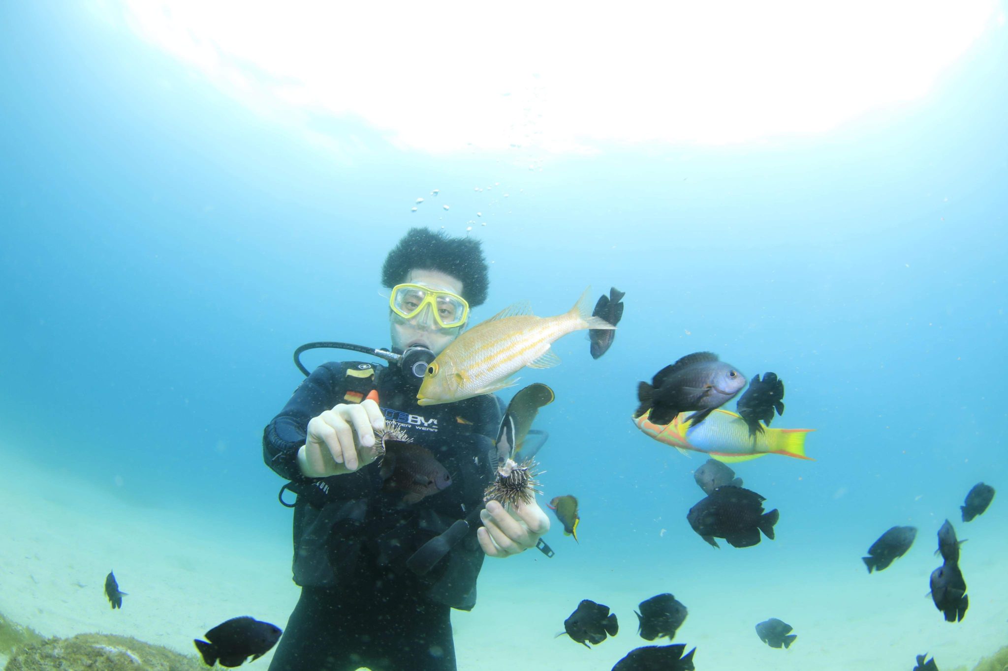 AQUAS Blog » 最近暑いですねー